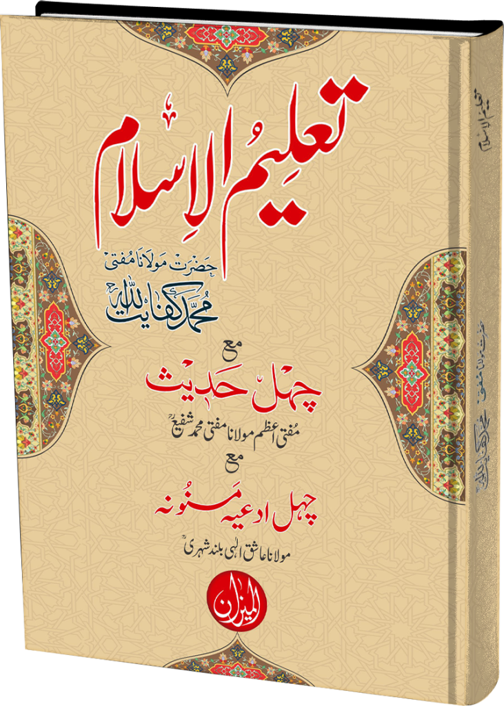 Taleem-ul-Islam (2 Coloured Edition) - Al Mezaan Publishers